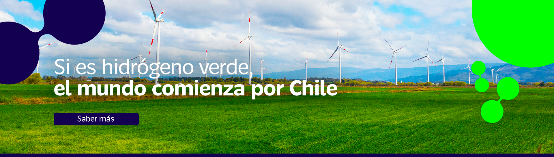 Marca Chile
