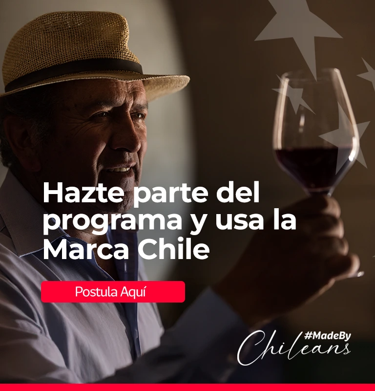 Marca Chile