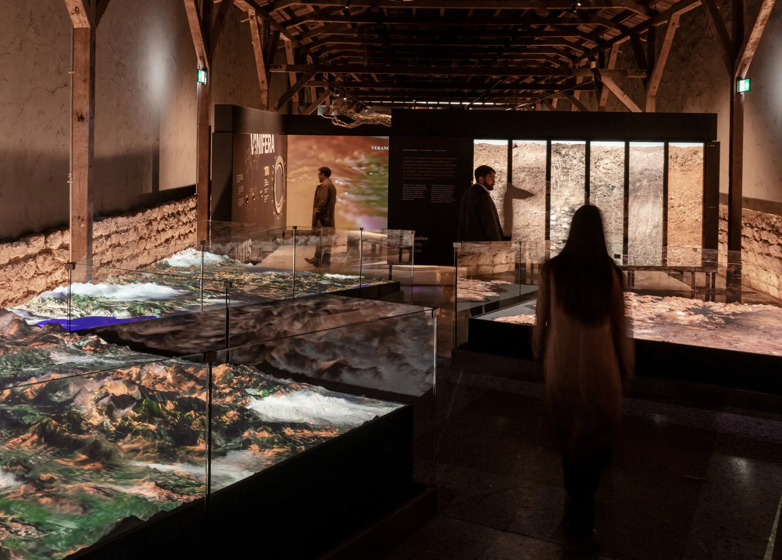 Concha y Toro inaugura un innovador Centro del Vino para proyectar la ...