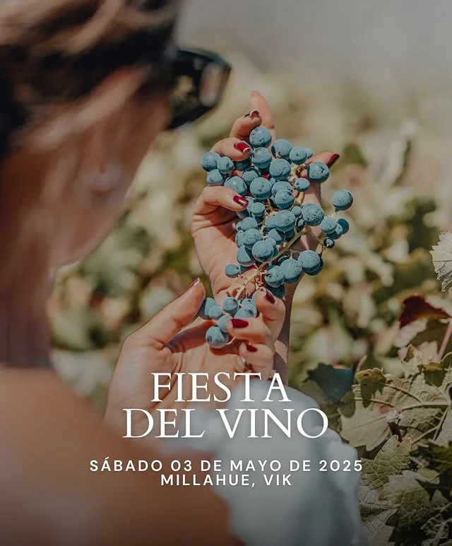 Vendimia VIK 2025: VIK en el corazón del Valle del Cachapoal | Marca Chile