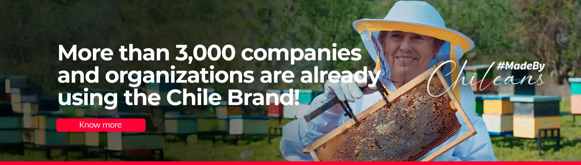 Marca Chile