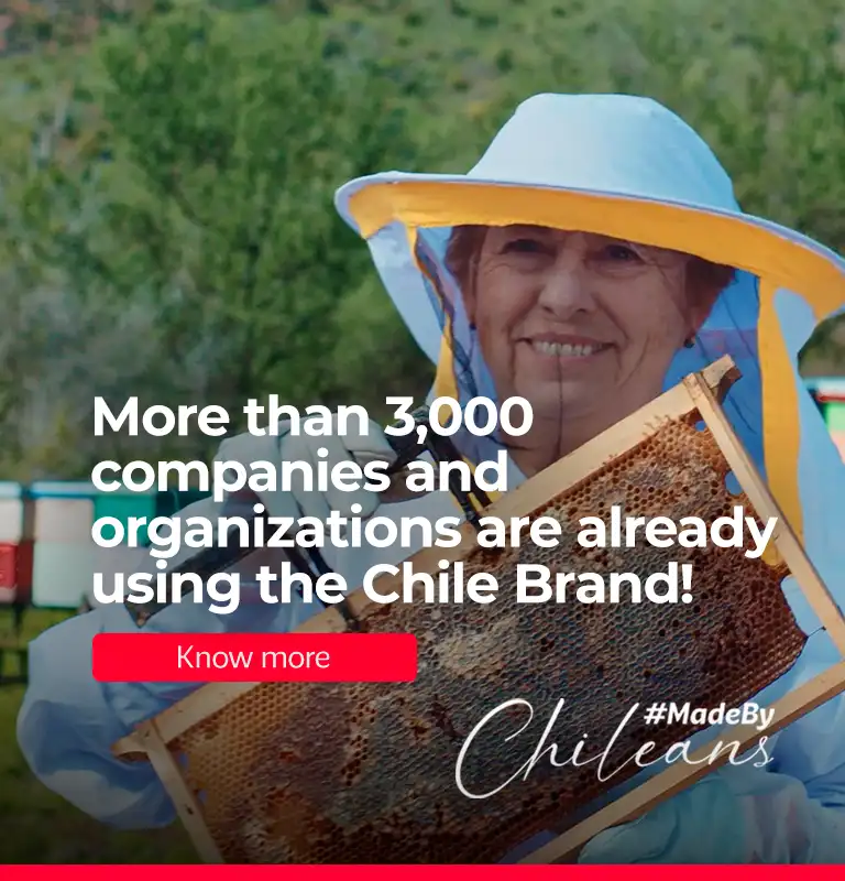 Marca Chile