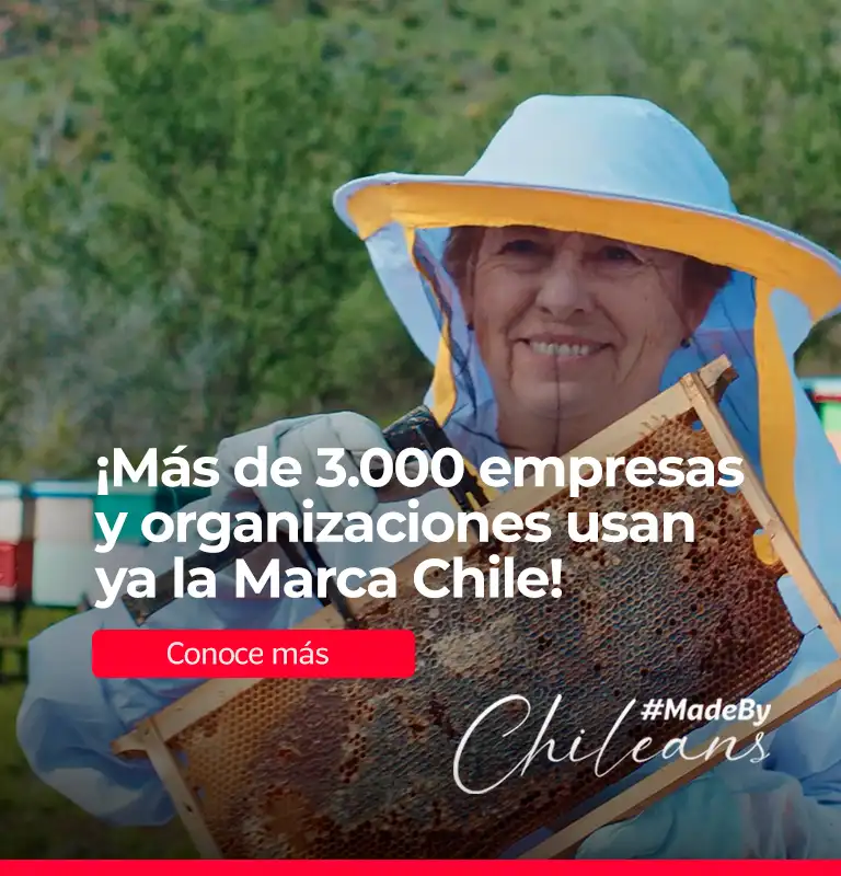 Marca Chile